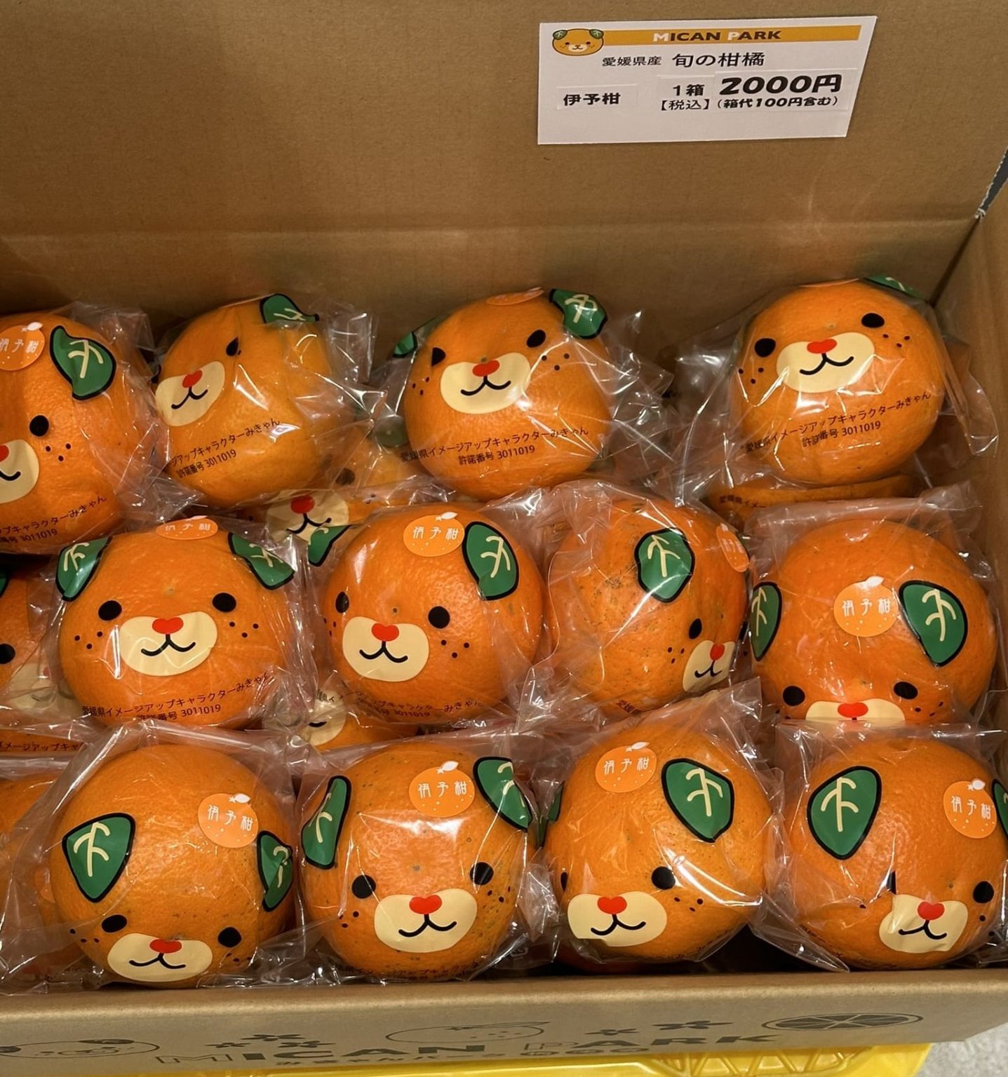 みきゃんの愛媛県中153ヵ所の目撃情報!みきゃん3大聖地のご紹介も！ - RNBエンタメディア