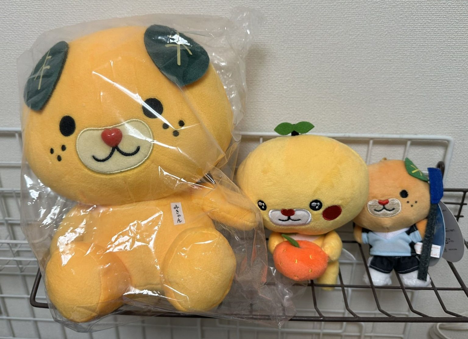 みきゃんグッズどこで売ってる?愛媛県内や東京のみきゃんが買えるお土産屋さんについて！ - RNBエンタメディア
