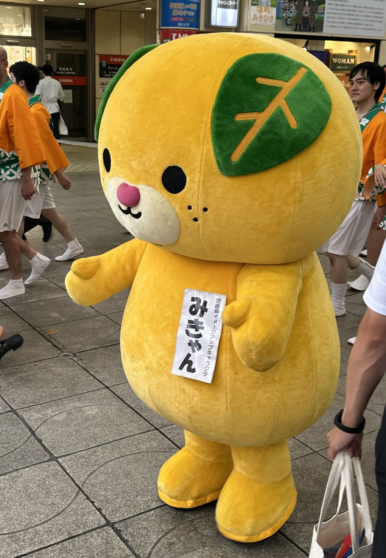 愛媛県でみきゃんを楽しむ方法！みきゃんは愛媛のアイドルやけん！ - RNBエンタメディア