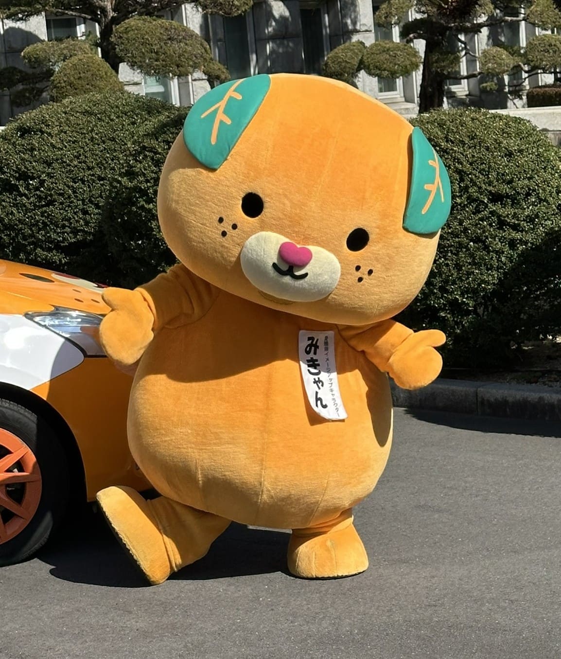 愛媛県でみきゃんを楽しむ方法！みきゃんは愛媛のアイドルやけん！ - RNBエンタメディア