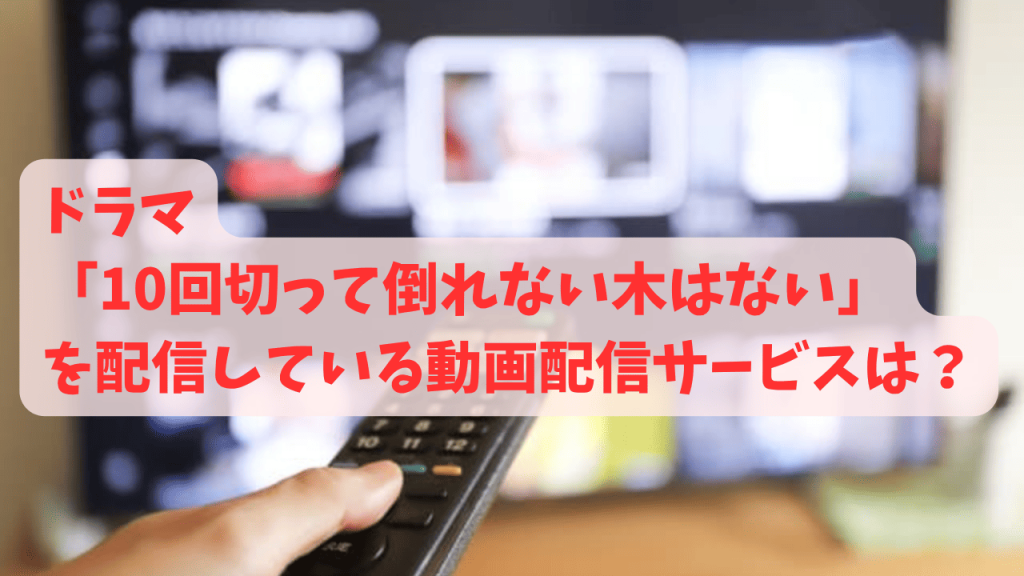 ドラマ「10回切って倒れない木はない」の見逃し配信ができる動画配信サブスクは？視聴方法・無料期間まとめ - RNBエンタメディア